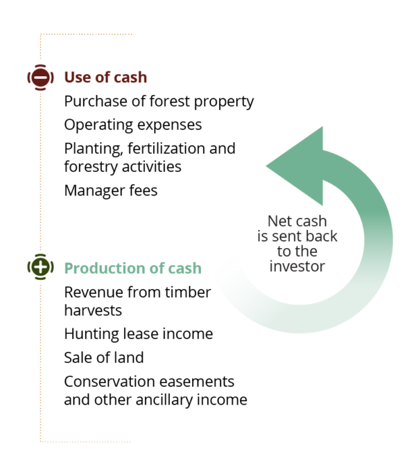 Investment Attributes - Timberland Investment Resources Europe