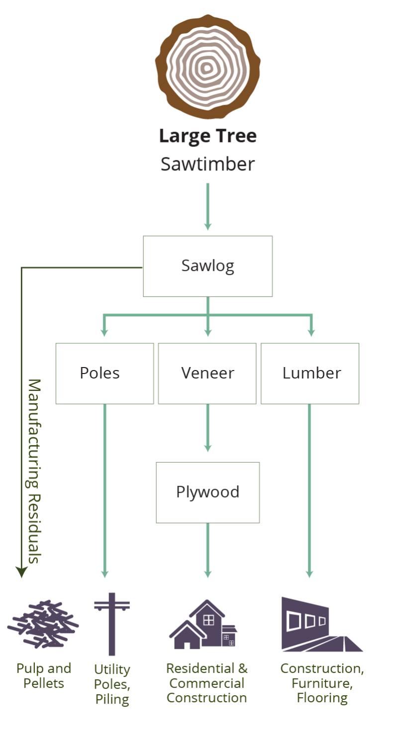 Investment Attributes - Timberland Investment Resources Europe
