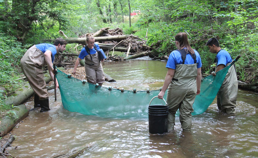 TIR Releases Sustainability Report for 2023 - Timberland Investment ...