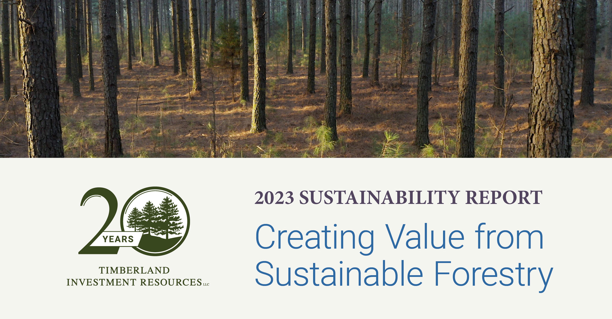 TIR Releases Sustainability Report for 2023 - Timberland Investment ...