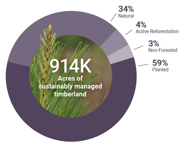 TIR Releases Sustainability Report for 2023 - Timberland Investment ...