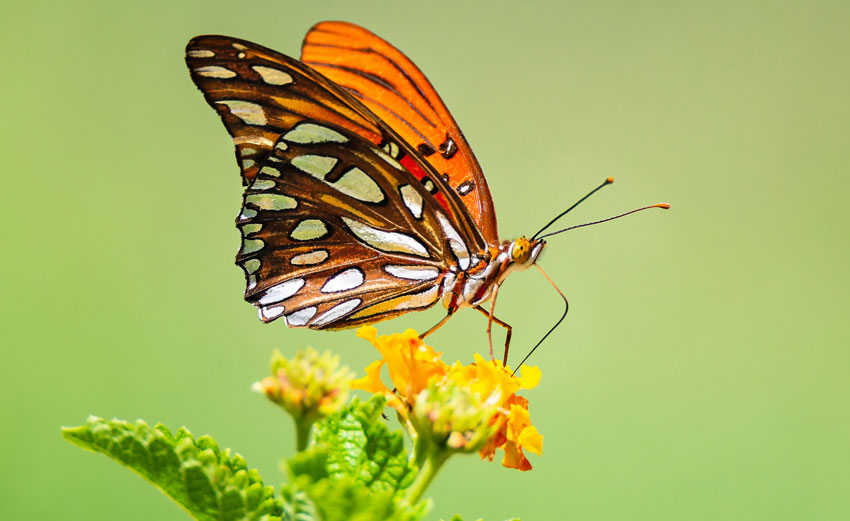 TIR Releases Sustainability Report for 2023 - Timberland Investment ...